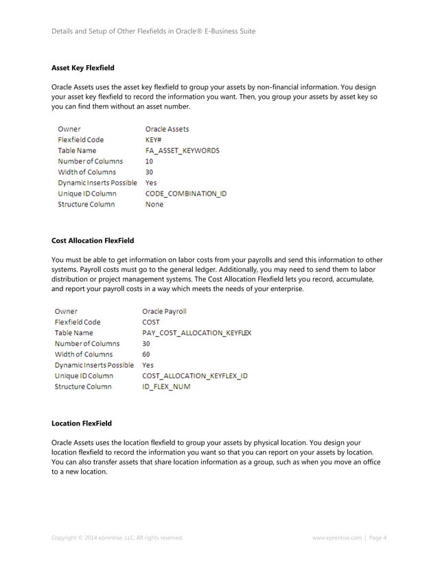 Details and Set-up of Other FlexFields in Oracle E-Business Suite | PDF