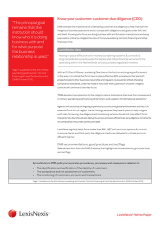 Whitepaper: DNB Guidance on the Anti-Money Laundering and Counter ...