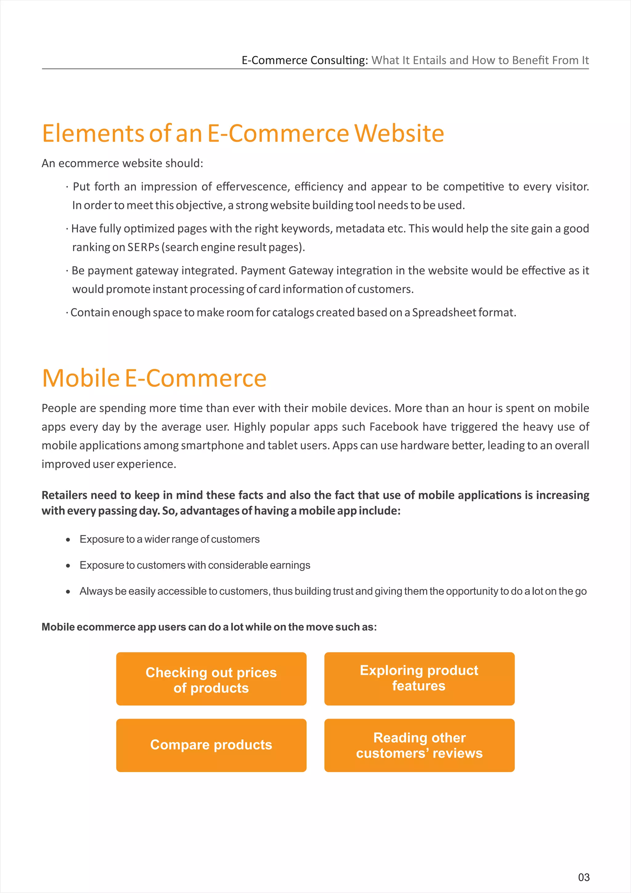 E-commerce Consulting | PDF