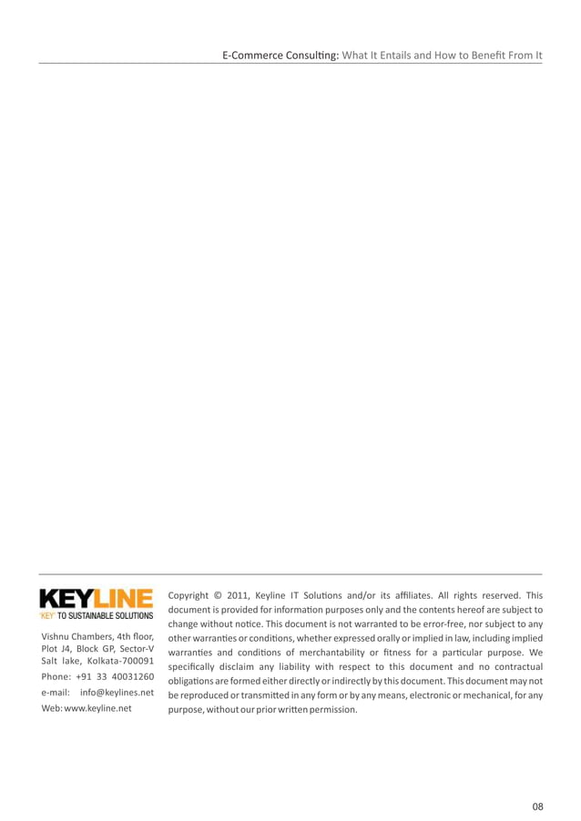 E-commerce Consulting | PDF