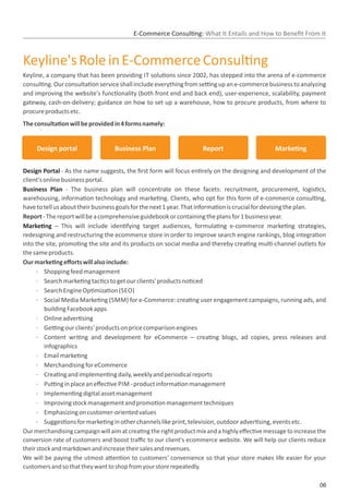 E-commerce Consulting | PDF