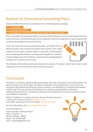 E-commerce Consulting | PDF