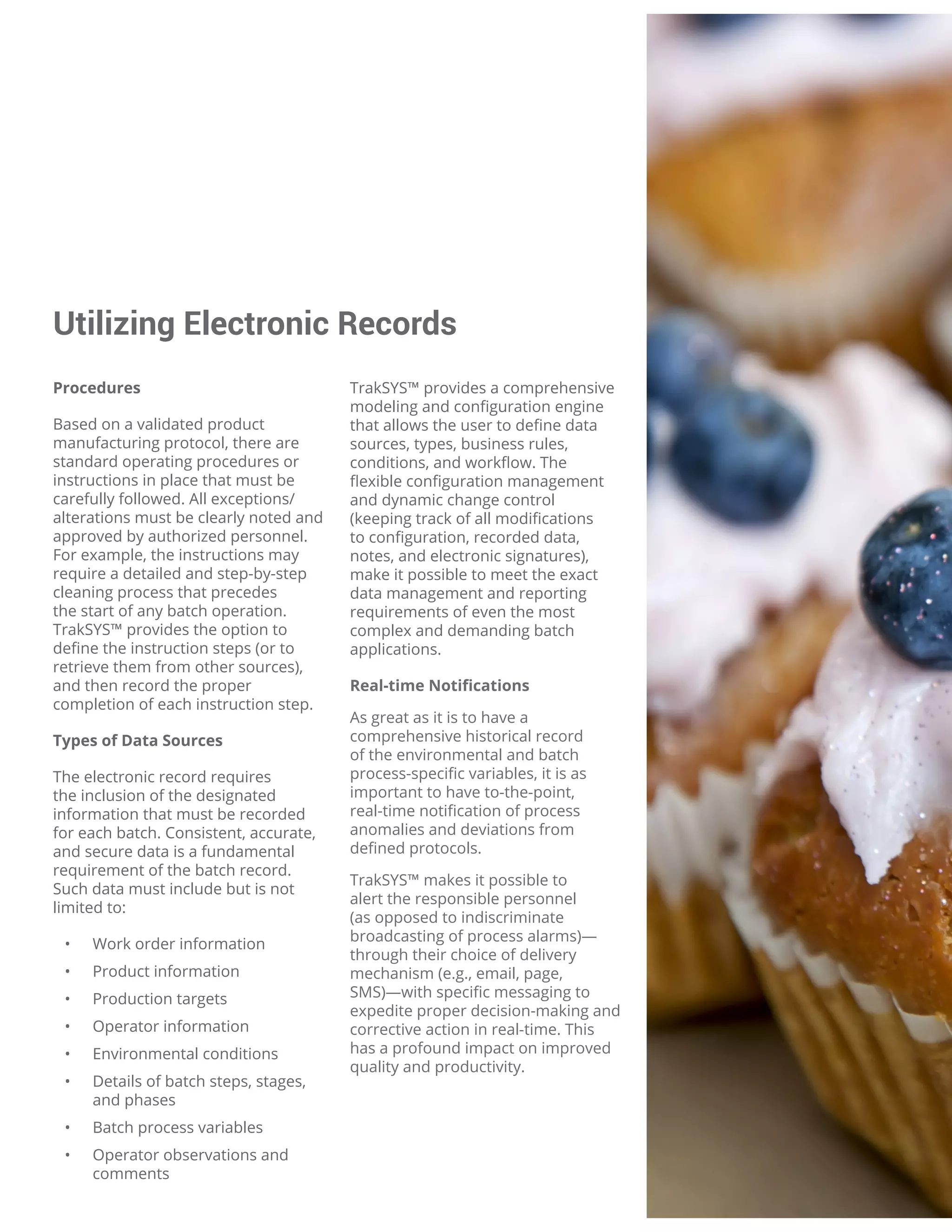 Electronic Batch Records | PDF