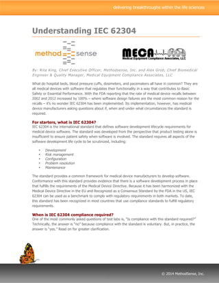 Understanding IEC 62304 | PDF