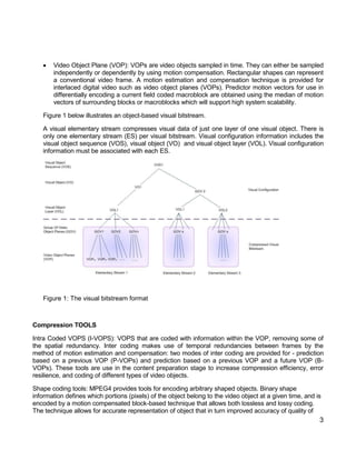 White Paper - Mpeg 4 Toolkit Approach | PDF
