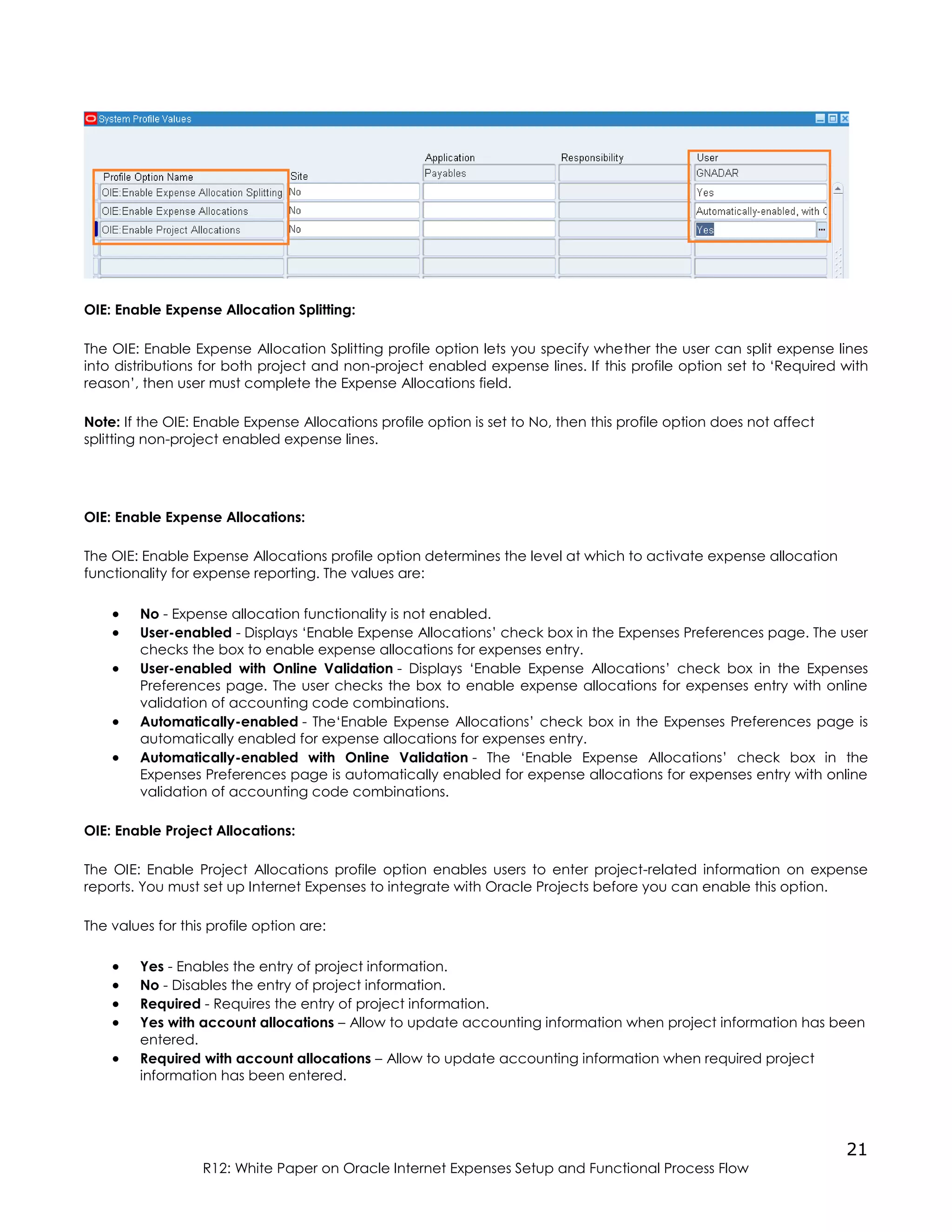 White_Paper_on_Oracle_Internet_Expenses_Setup_and_Functional_Process_Flow.pdf