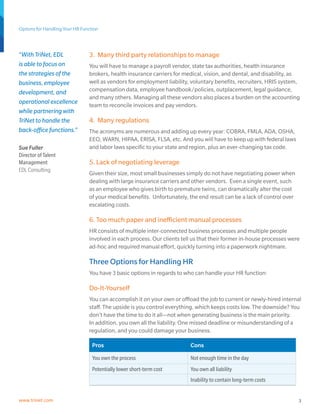 White Paper Options For Handling Your HR Function | PDF | Human Resources | Business