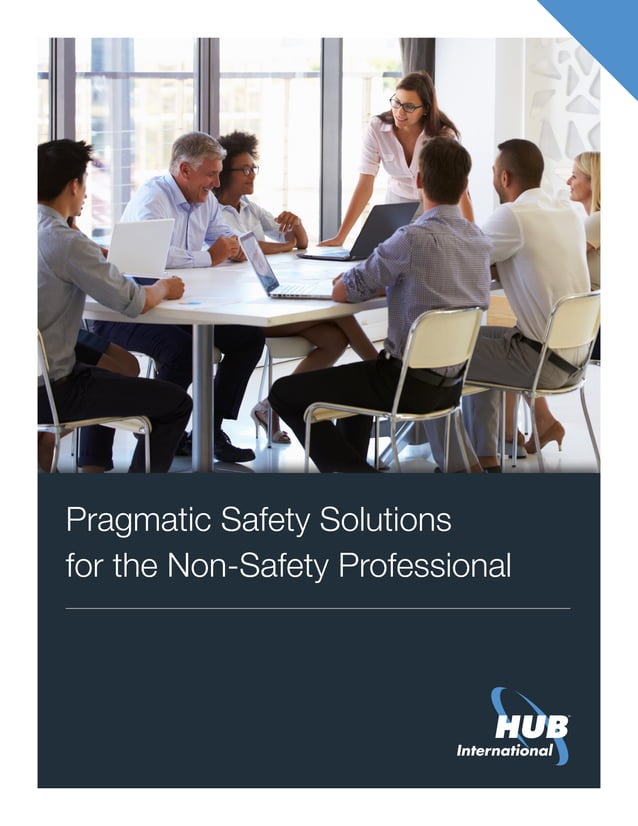 White paper pragmatic safety solutions | PDF