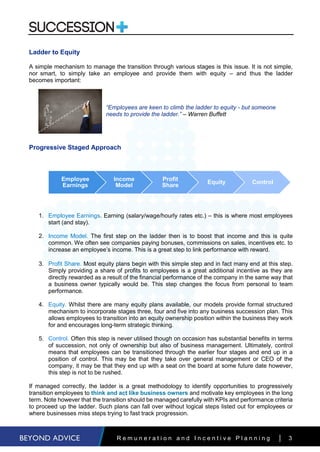 Remuneration and Incentive Planning | PDF