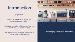 Exploring Innovation as a Strategy to Excel in the Household Goods ...