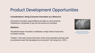 Exploring Innovation as a Strategy to Excel in the Household Goods ...