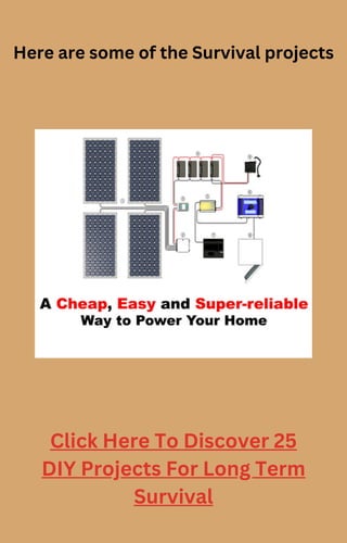 SURVIVAL PROJECTS | PDF | Business | Business and Finance