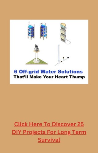 SURVIVAL PROJECTS | PDF | Business | Business and Finance