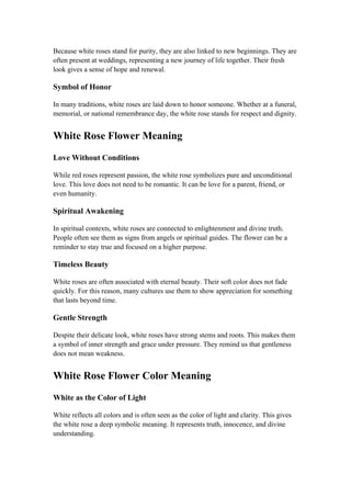 White Rose Symbolism and Meaning in Love, Death & Bible.docx