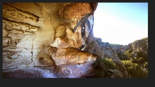 White Shaman Panel | PPT