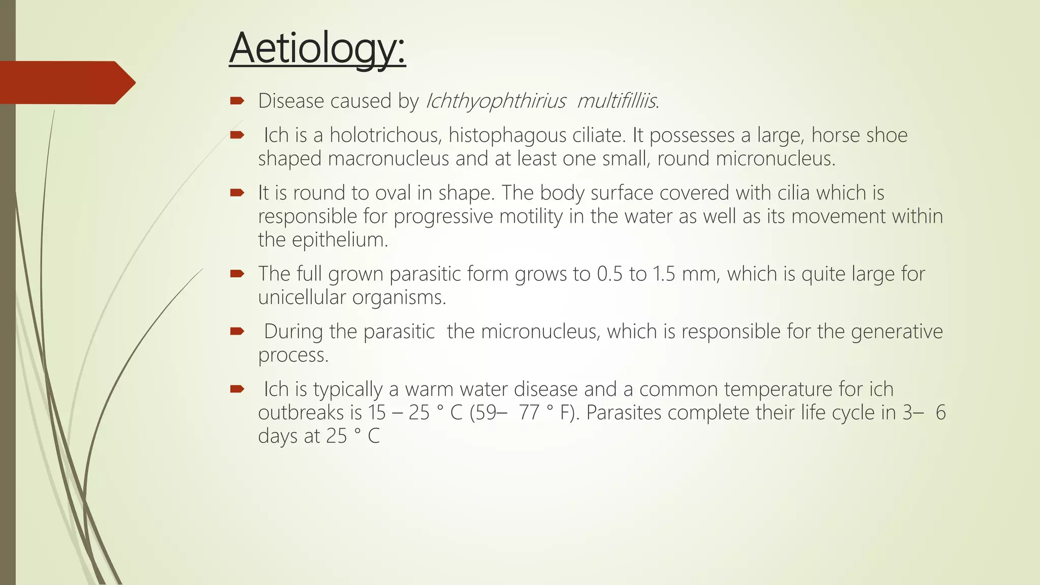 White spot disease in fish | PPTX