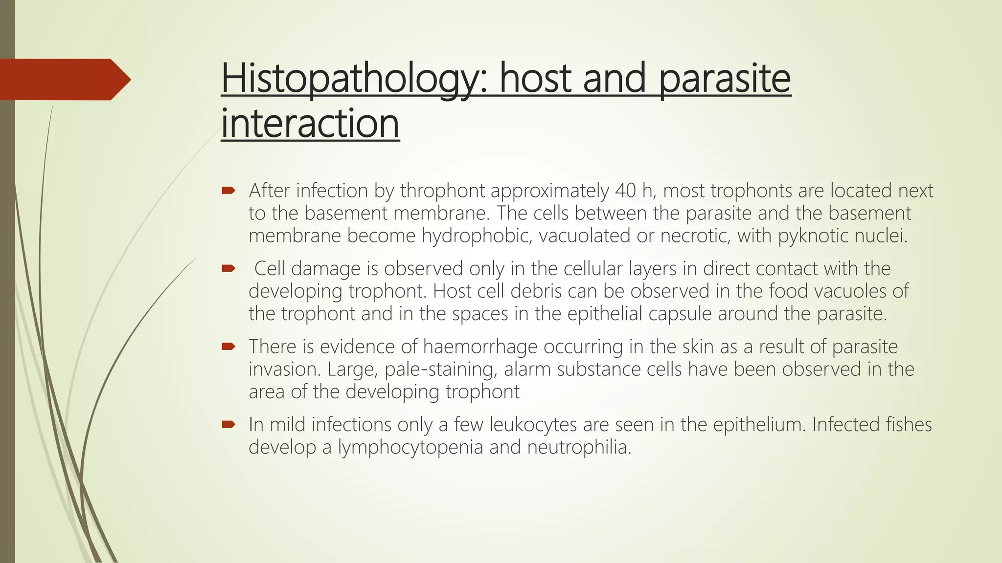 White spot disease in fish | PPTX