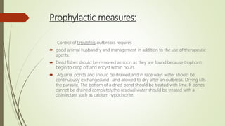 White spot disease in fish | PPTX