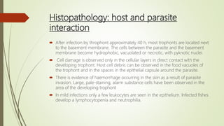 White spot disease in fish | PPTX