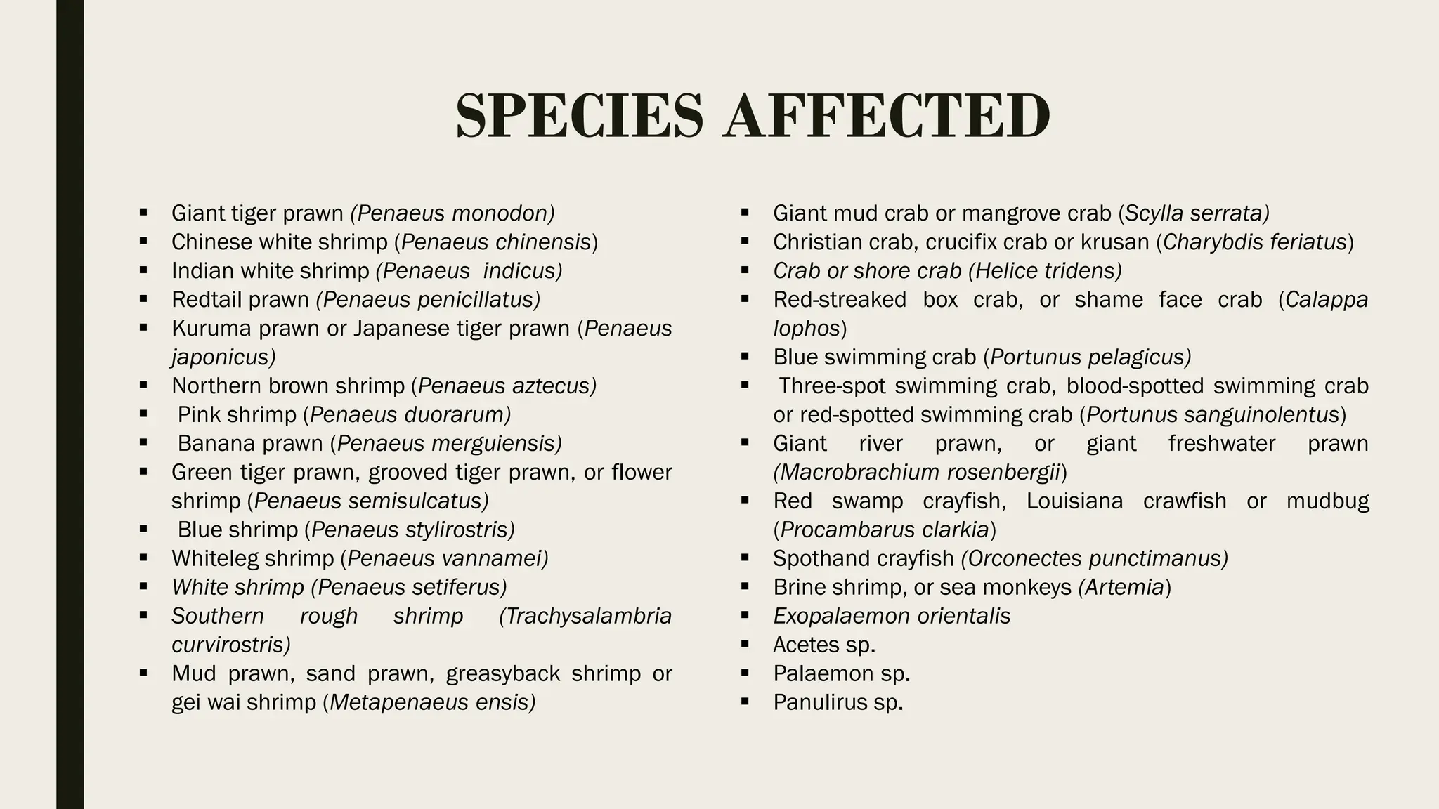 White Spot Syndrome Virus (WSSV) Disease - Villanueva.pdf