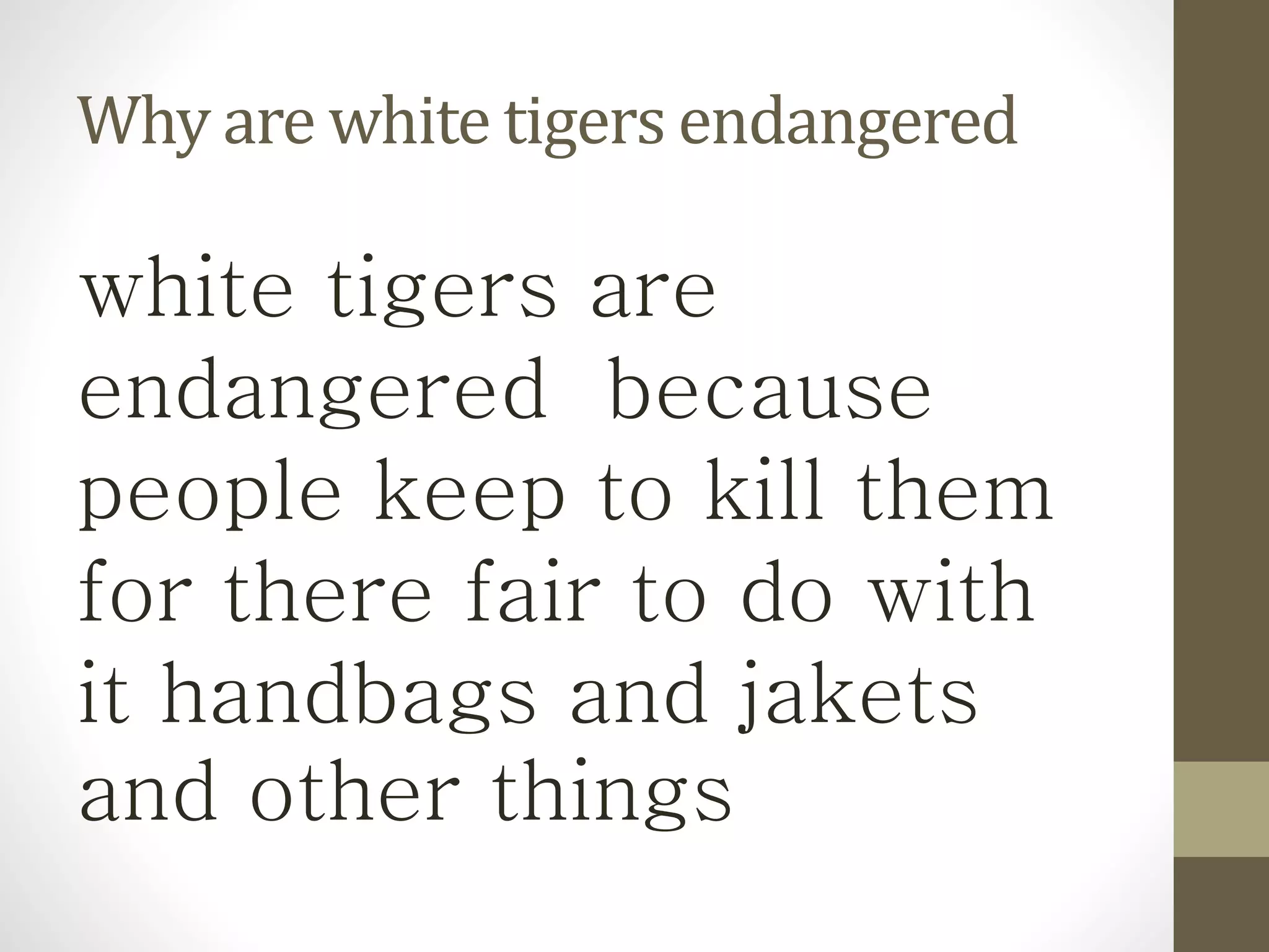 White tiger | PPT