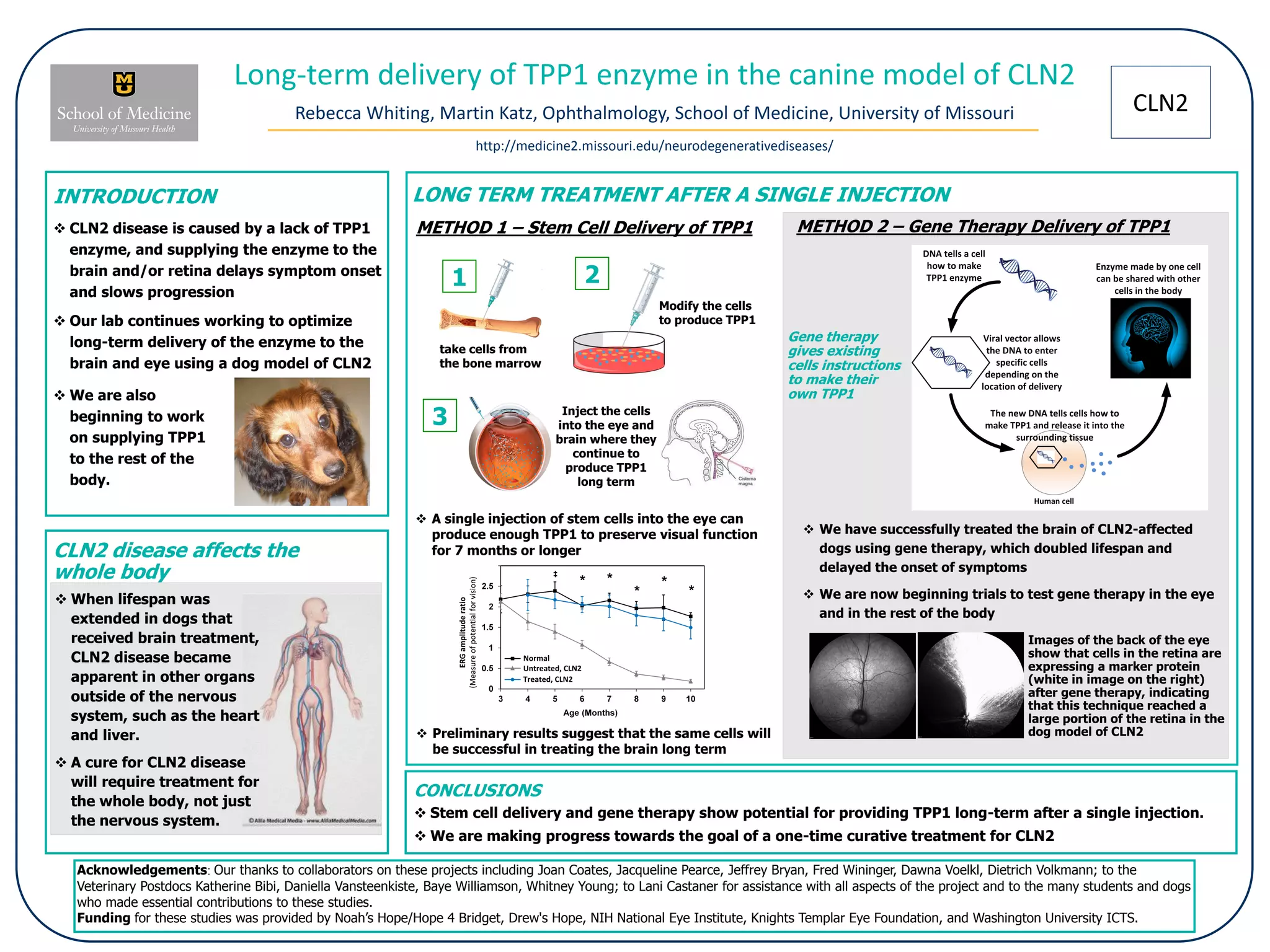 2017 BDSRA Whiting and Katz CLN2 | PPT