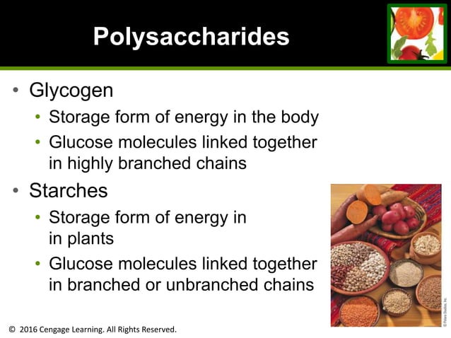 Chapter 4: The Carbohydrates: Sugars, Starches, and Fibers | PPTX