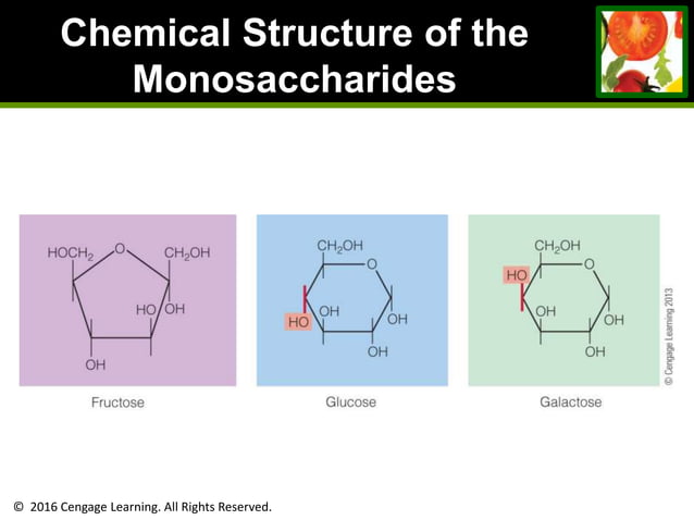 Chapter 4: The Carbohydrates: Sugars, Starches, and Fibers | PPTX
