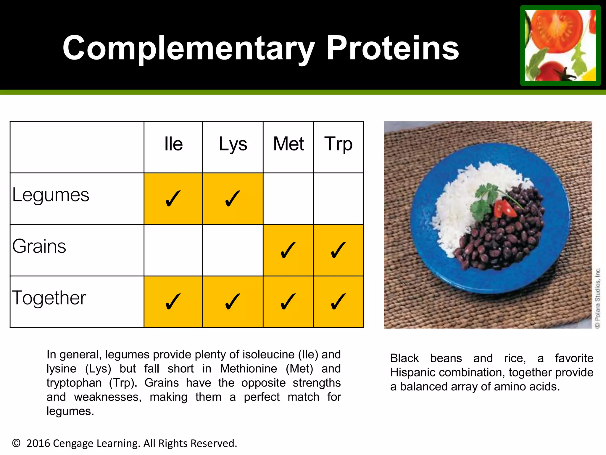 Chapter 6 Protein: Amino Acids | PPTX