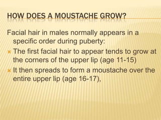 Life & Times of the Moustache | PPTX