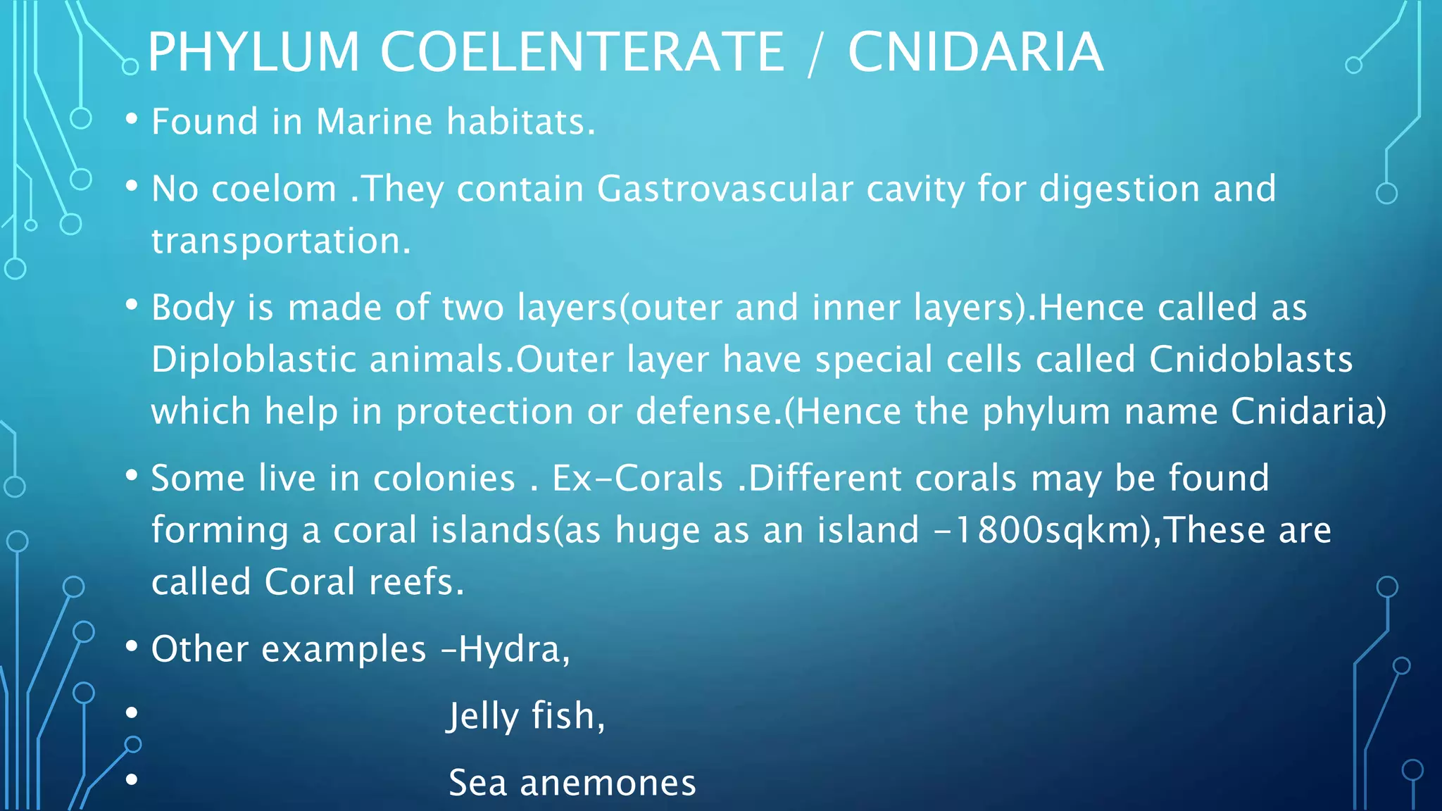 Whittakers 5 kingdom classification.pptx | Geography | Science