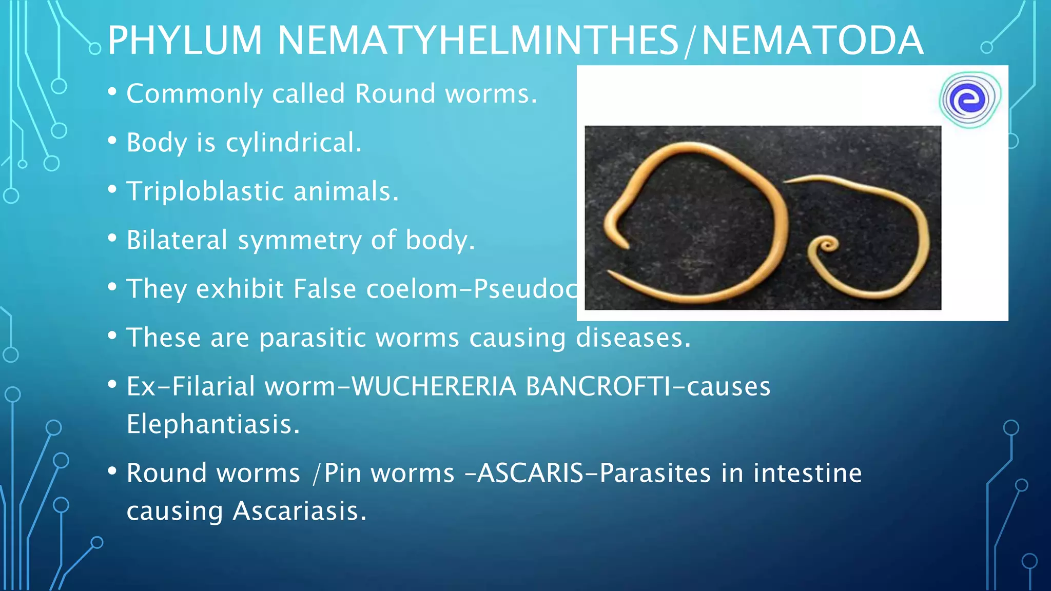 Whittakers 5 kingdom classification.pptx | Geography | Science