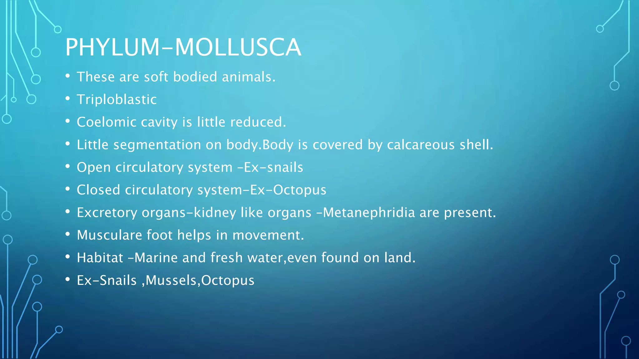 Whittakers 5 kingdom classification.pptx