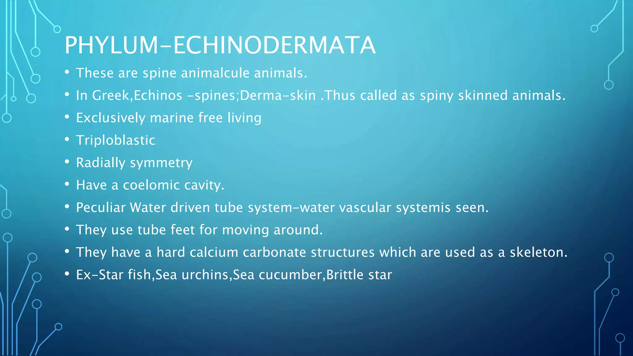 Whittakers 5 kingdom classification.pptx