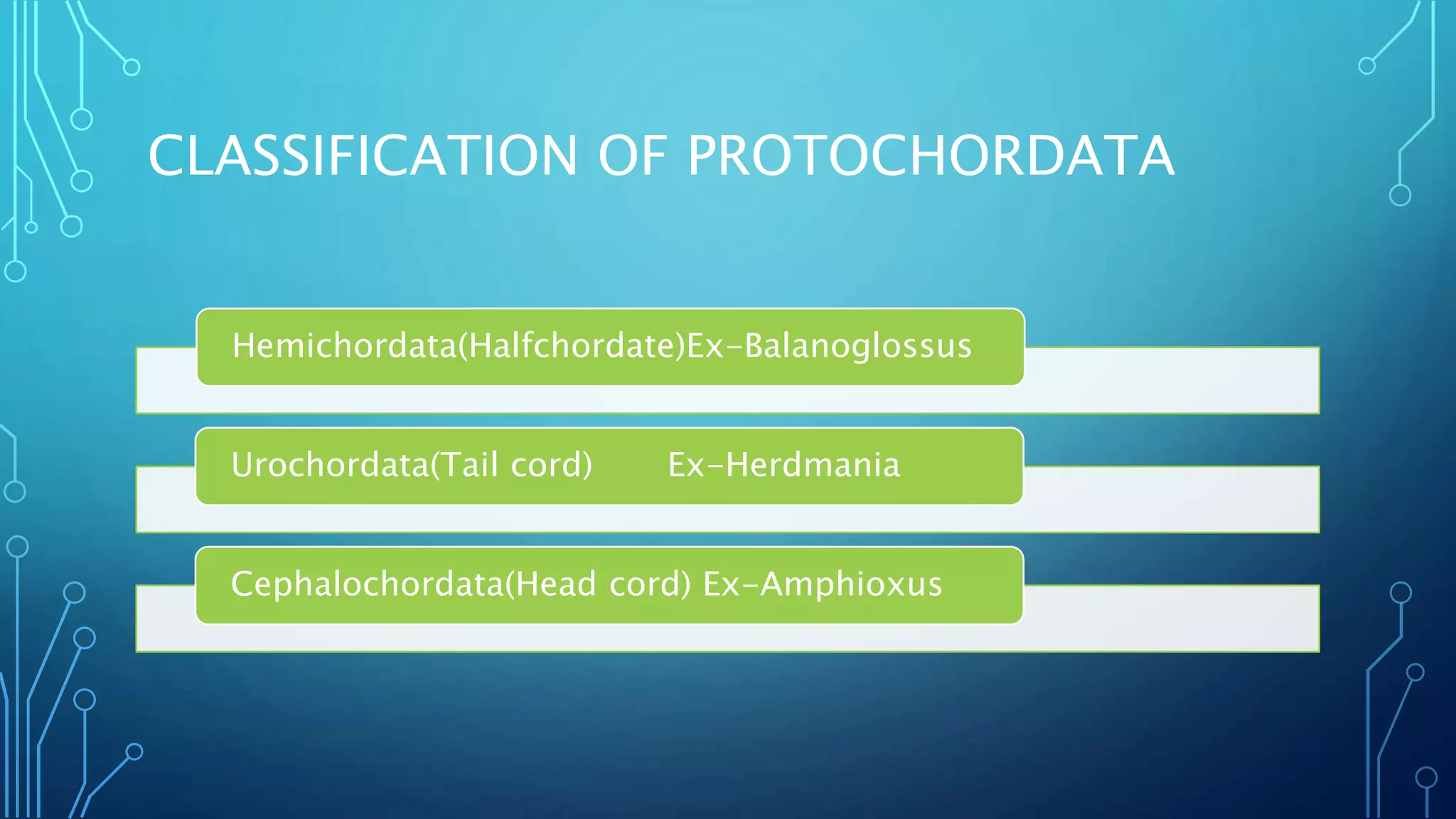 Whittakers 5 kingdom classification.pptx | Geography | Science