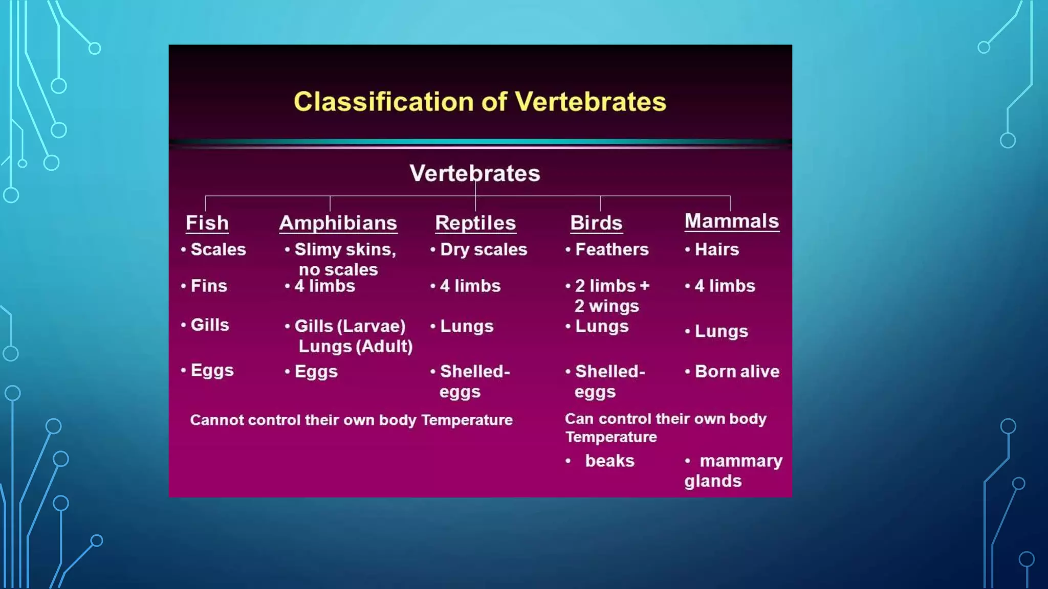 Whittakers 5 kingdom classification.pptx