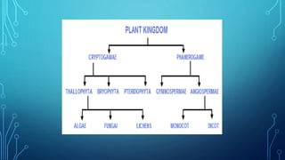Whittakers 5 kingdom classification.pptx