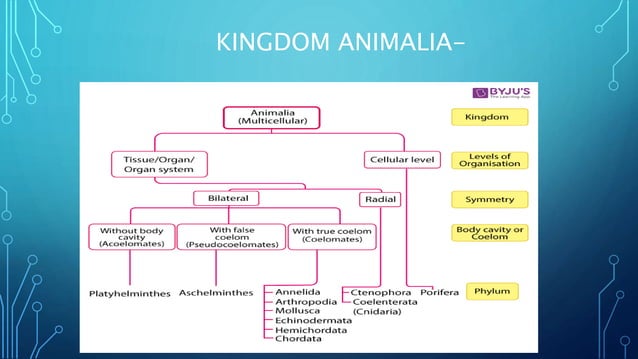 Whittakers 5 kingdom classification.pptx | Geography | Science