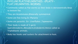 Whittakers 5 kingdom classification.pptx | Geography | Science