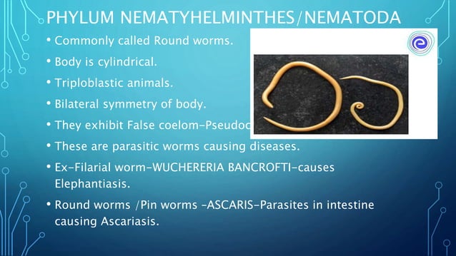 Whittakers 5 kingdom classification.pptx | Geography | Science
