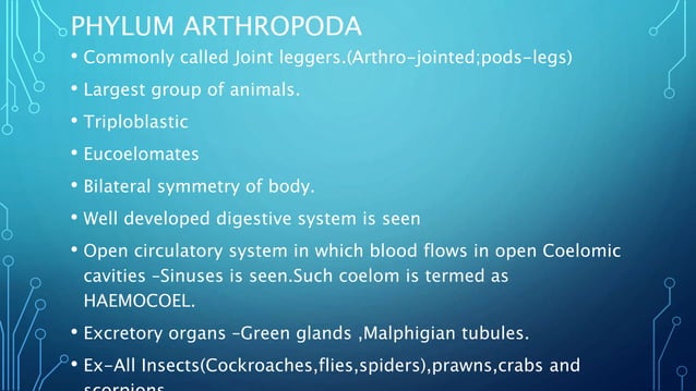 Whittakers 5 kingdom classification.pptx | Geography | Science