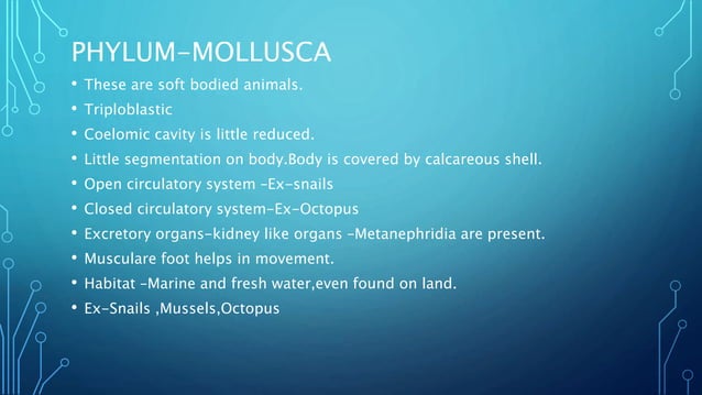 Whittakers 5 kingdom classification.pptx | Geography | Science