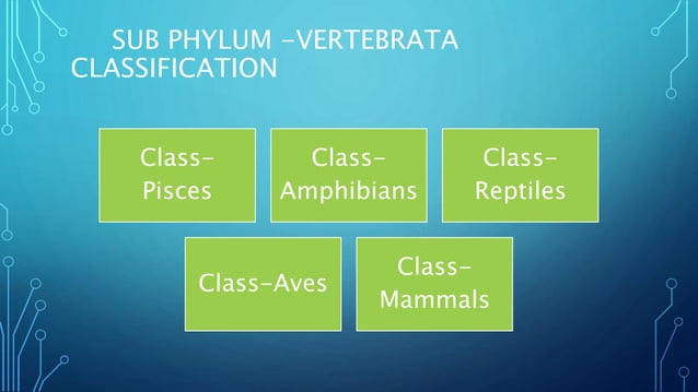 Whittakers 5 kingdom classification.pptx | Geography | Science