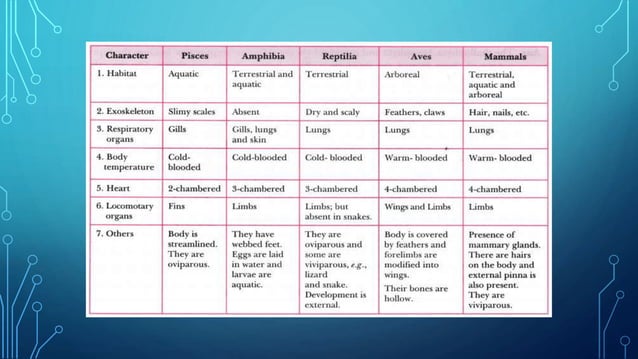 Whittakers 5 kingdom classification.pptx | Geography | Science