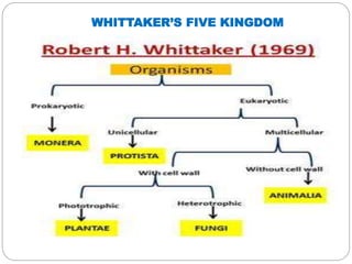 WHITTAKER’S FIVE KINGDOM CONCEPT TO ASSESS BIODIVERSITY | PDF