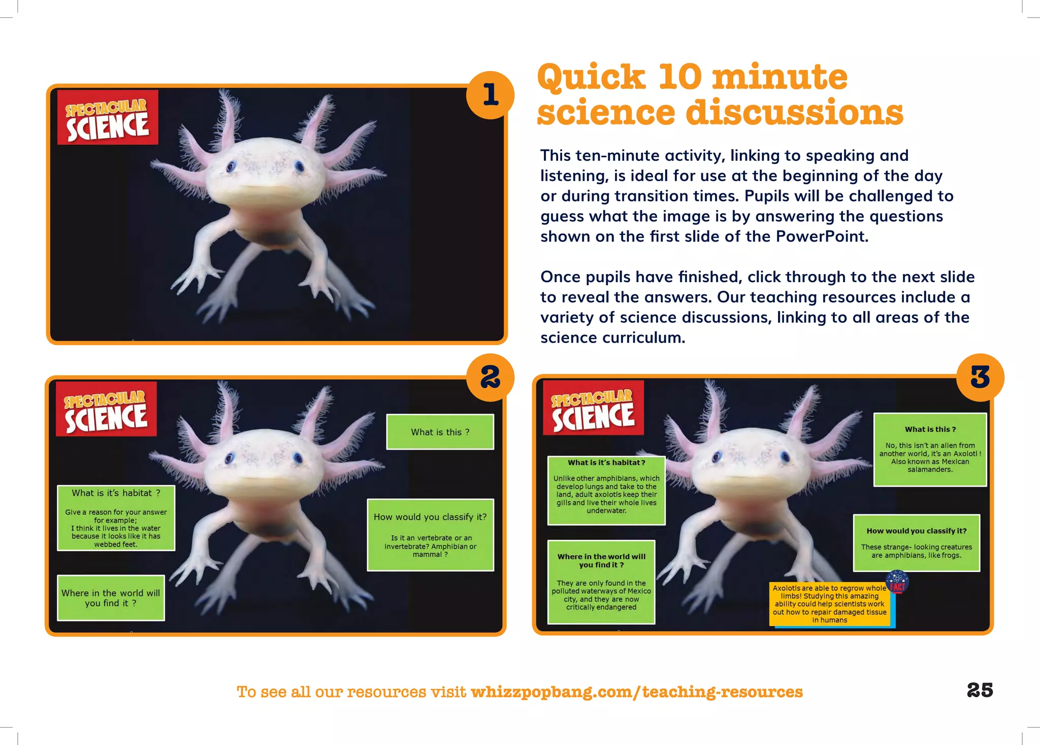 Whizz Pop Bang primary science teaching resources sample pack | PDF