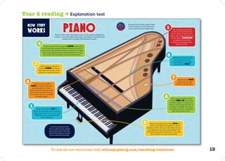 Whizz Pop Bang primary science teaching resources sample pack | PDF