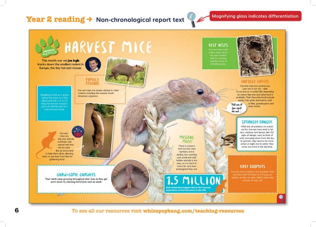 Whizz Pop Bang primary science teaching resources sample pack | PDF