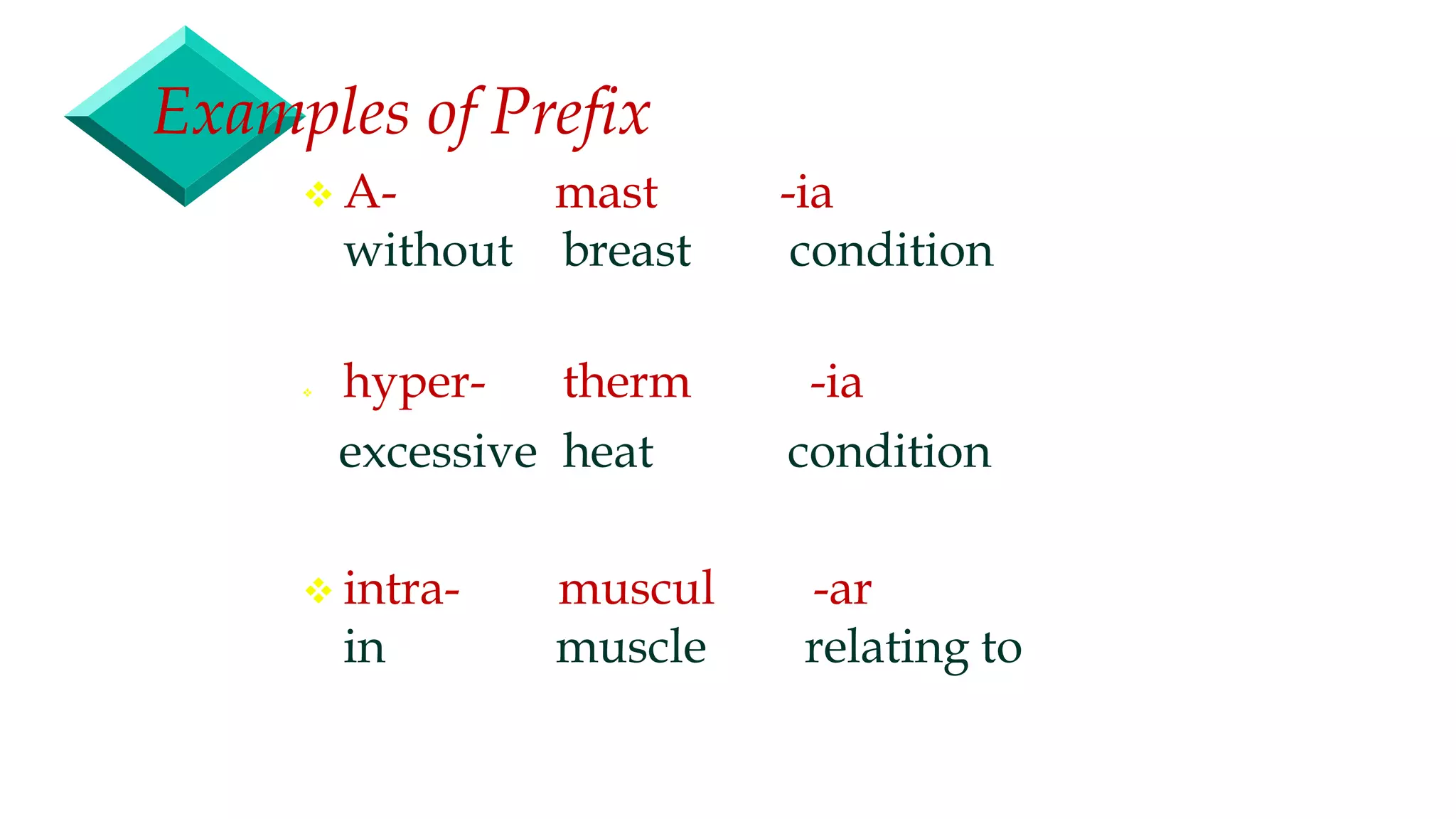 Medical Terminology | PDF