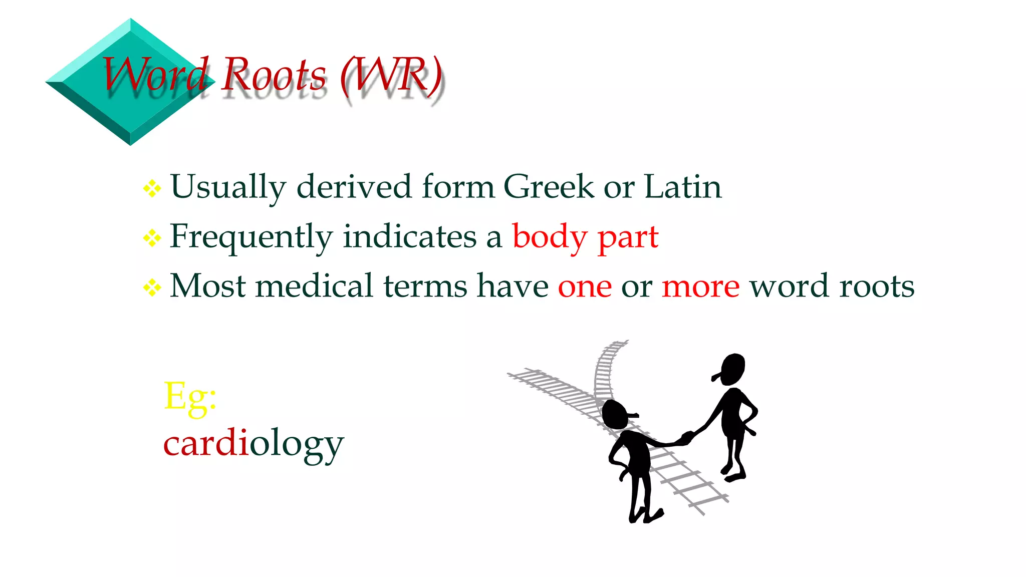 Medical Terminology | PDF